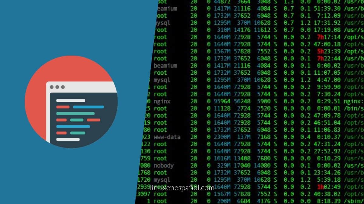 Crear usuario con privilegios de root en Linux [PASO A PASO] - MuyLinux