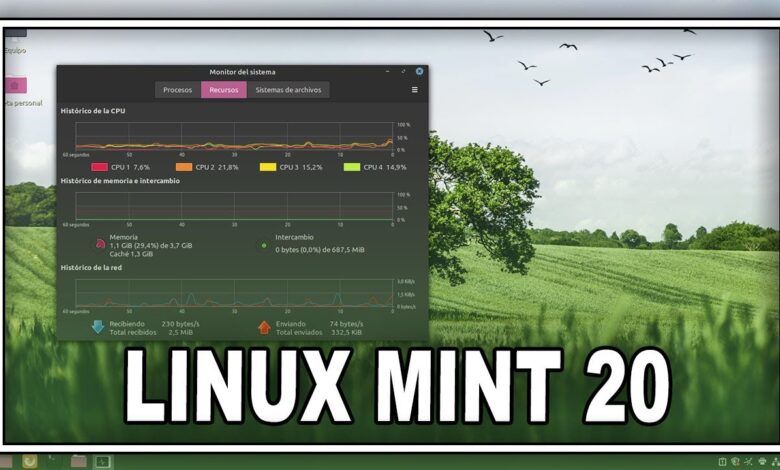 LINUX MENTA 20 "Ulyana" (Revisión) - Nueva aplicación, gráficos y pequeñas mejoras. - MuyLinux