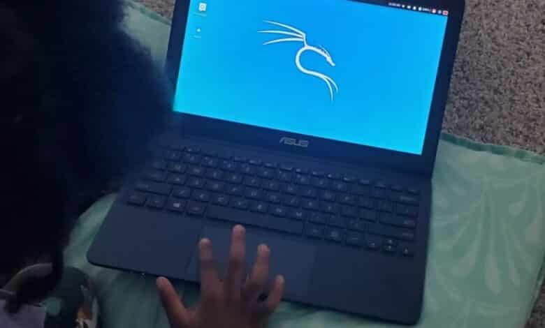 Kali Linux como sistema operativo de tiempo completo en nuestra vida diaria: instalación de ...