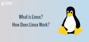 ¿Introducción a Linux? ¿Y cómo funciona Linux? - MuyLinux